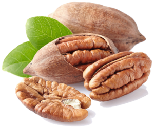 Rieksti veselībai » Riekstu veidi, uzturvērtība, ietekme uz veselību