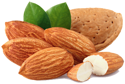 Mandeles | Mandeļu rieksti veselībai - Riekstu veikals SNACK